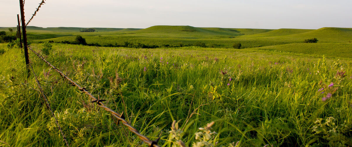 Landscape Examples - Partnerscapes